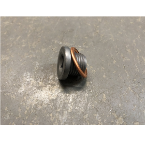 Renault Gearbox Sump Plug With Washer Various Models